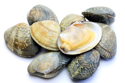 short-necked clam – 南青山 皮膚科｜スキンソリューションクリニック青山通り